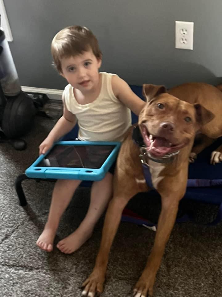 Home – Core K9 Training